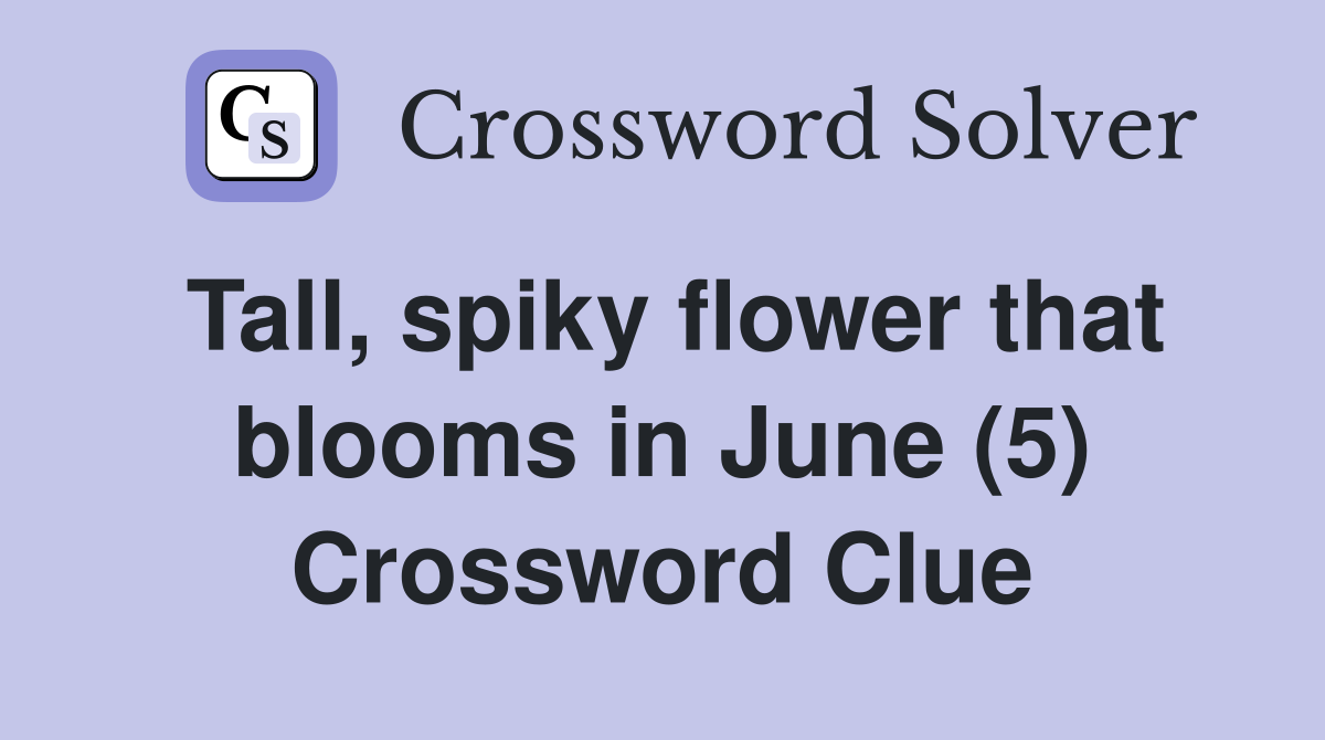 Tall Spiky Flower That Blooms In June 5 Crossword Clue Answers